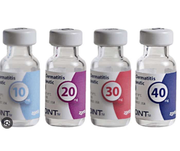 Cytopoint Injection For Dogs UK - A Comprehensive Guide – FurBabies ...