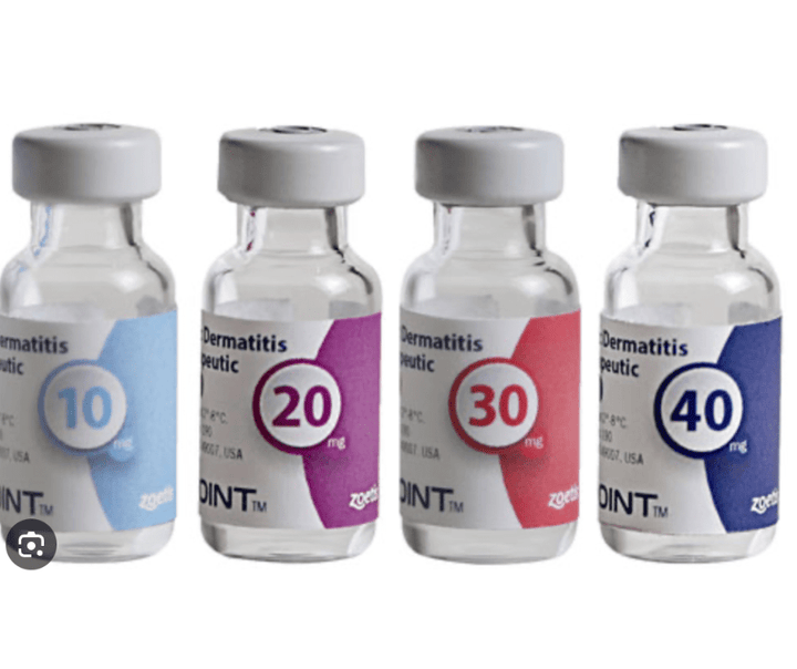 Cytopoint Injection For Dogs UK - A Comprehensive Guide