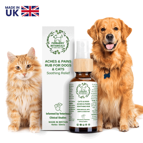 Dog & Cat Pain Relief Rub For Joints & Muscles Calming Formula (50ml ...